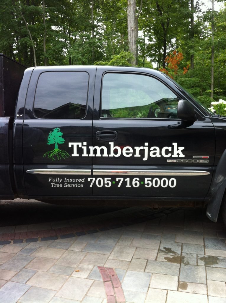 Timberjack Tree Service operates with a safety manual! - Timberjack ...