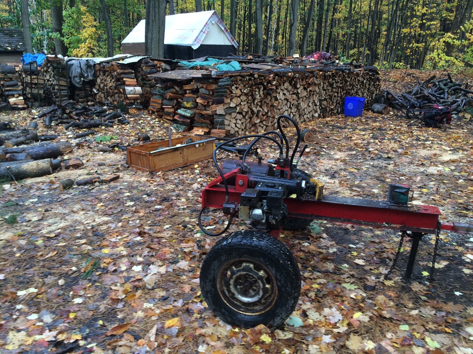 Gallery - Timberjack Tree Service