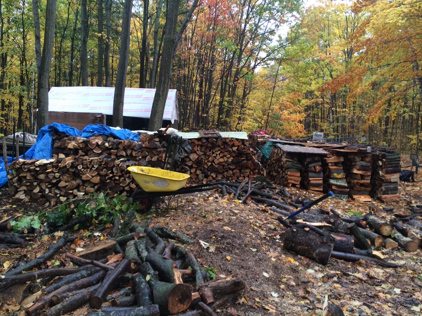 Gallery - Timberjack Tree Service