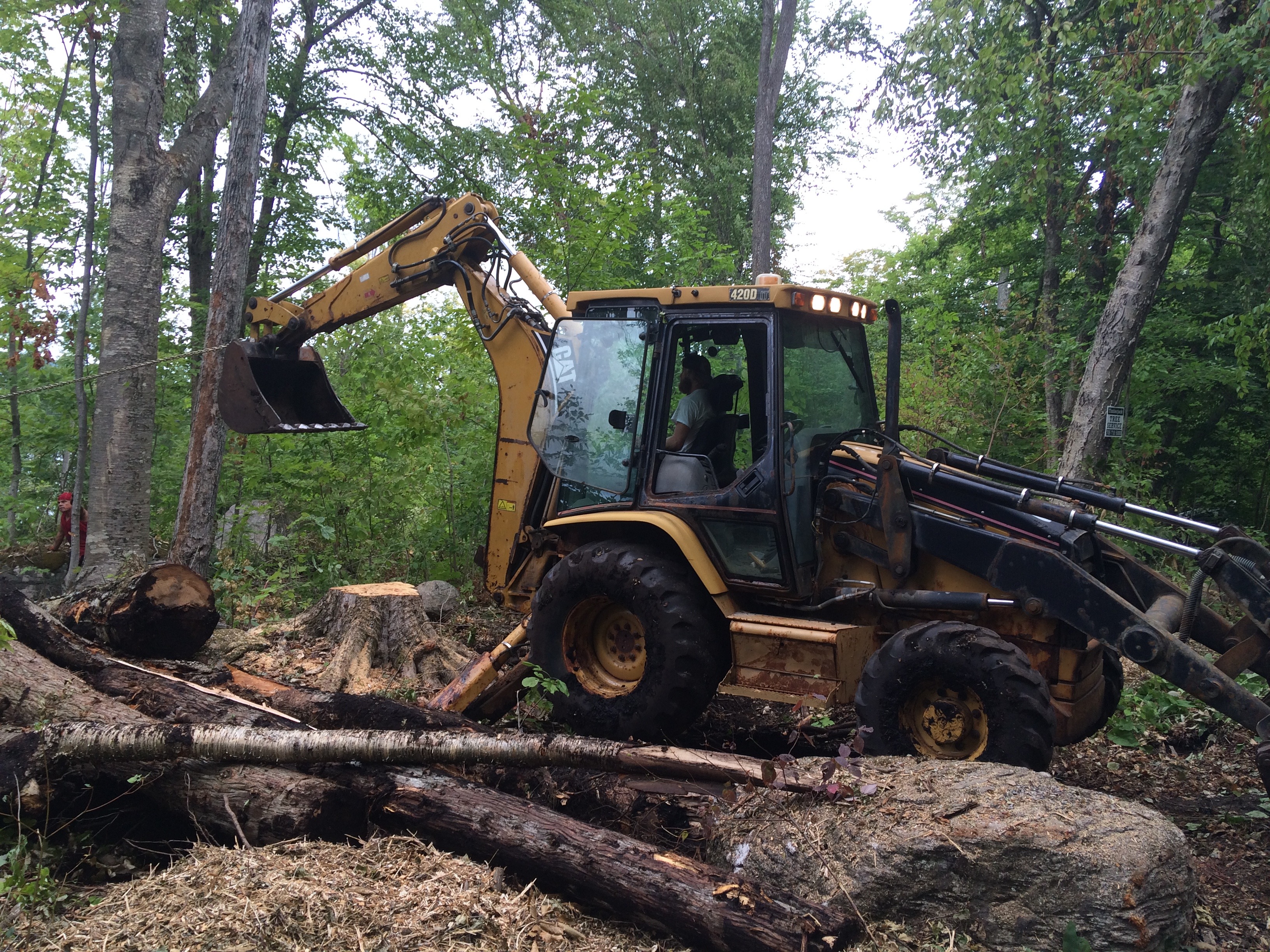 Gallery - Timberjack Tree Service