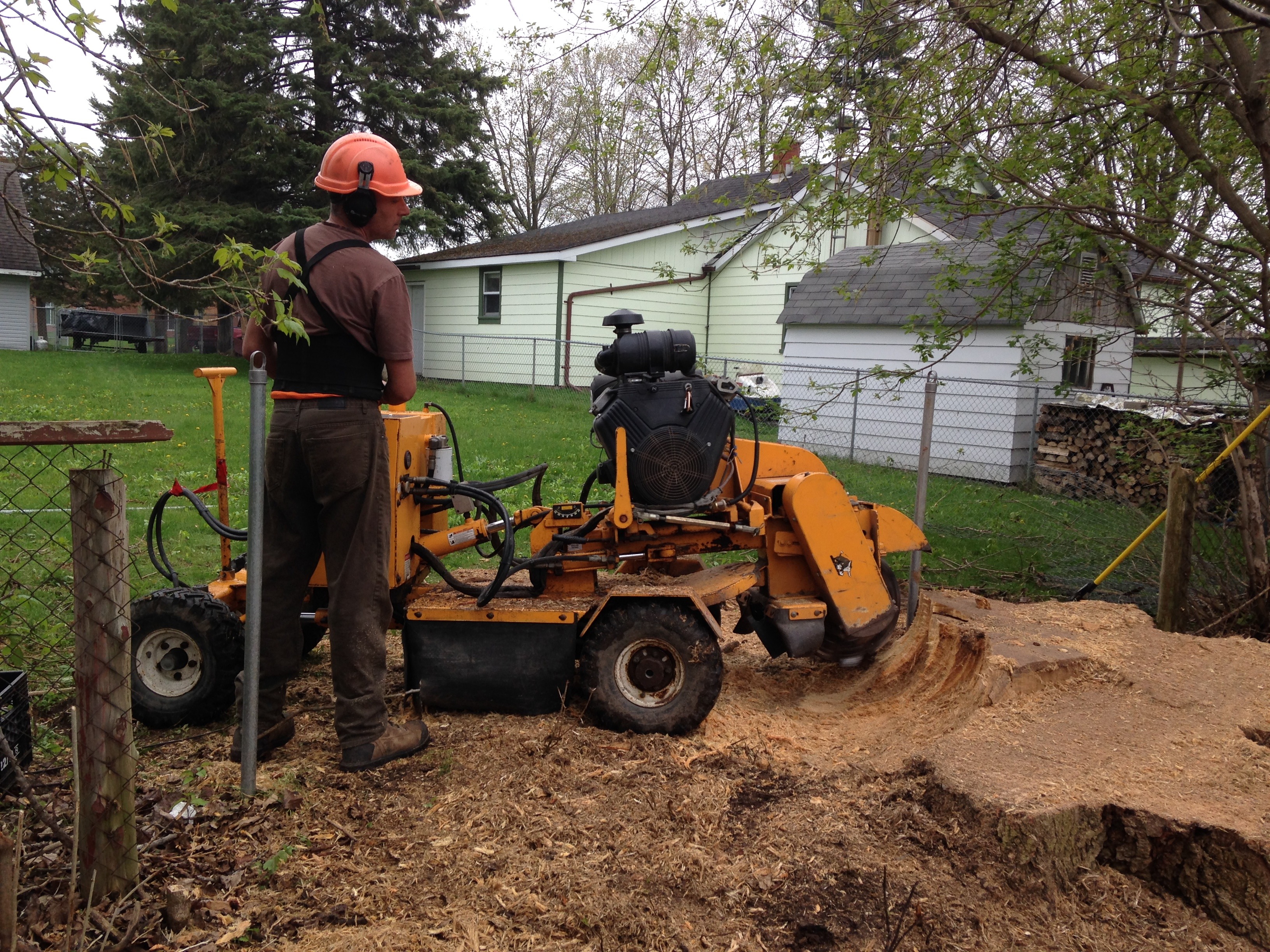 Gallery - Timberjack Tree Service