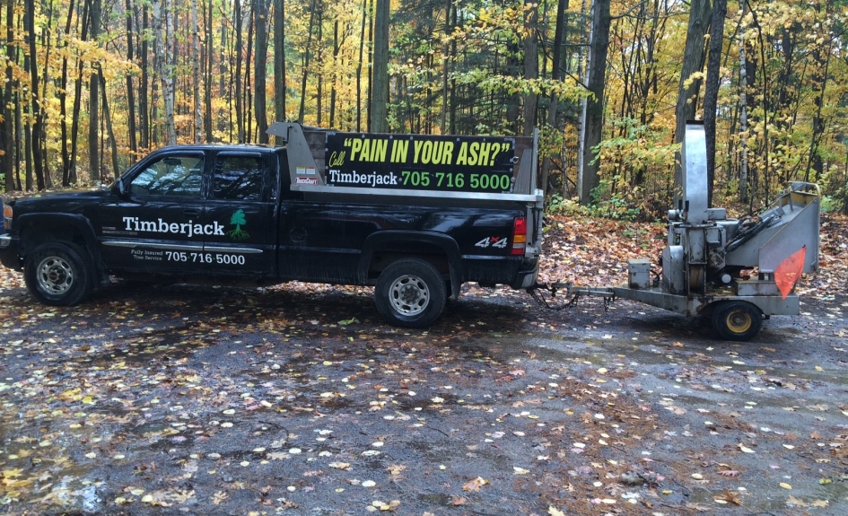 Gallery - Timberjack Tree Service